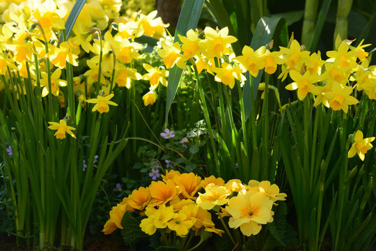 "Tete A Tete" Images – Browse 643 Stock Photos, Vectors, and Video ...
