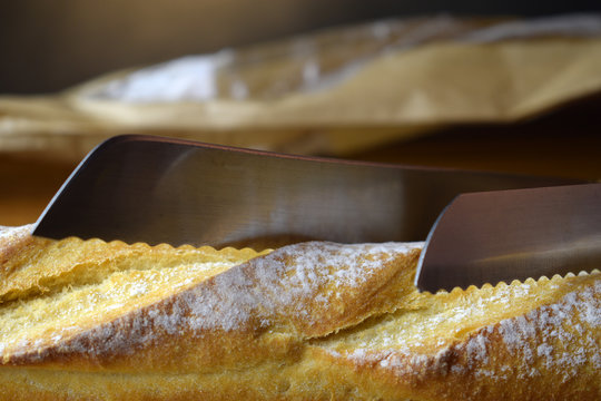 Francesino Bilder – Durchsuchen 44 Archivfotos, Vektorgrafiken und ...