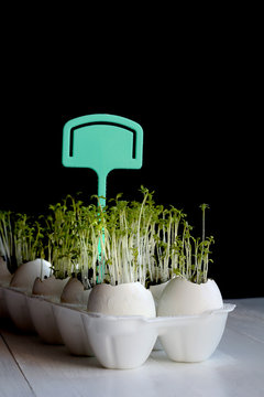 รูปภาพCalad – เลือกดูภาพถ่ายสต็อก เวกเตอร์ และวิดีโอ64 | Adobe Stock