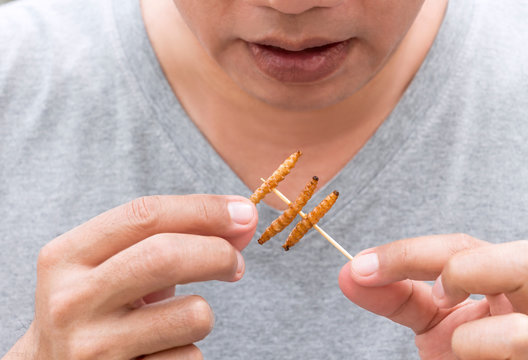รูปภาพOmphisa – เลือกดูภาพถ่ายสต็อก เวกเตอร์ และวิดีโอ126 | Adobe Stock