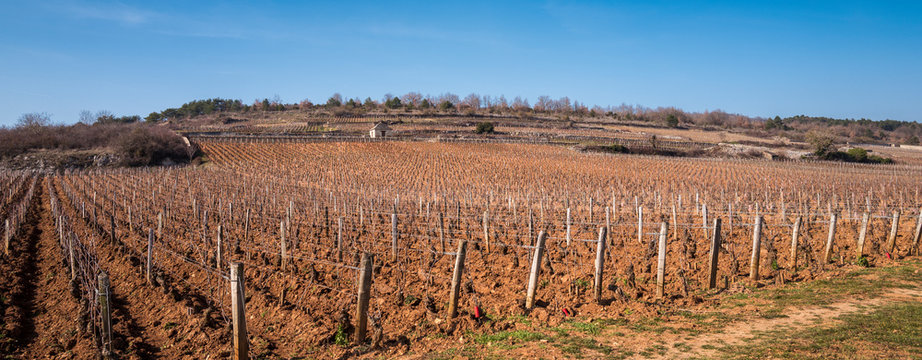 รูปภาพCabotte – เลือกดูภาพถ่ายสต็อก เวกเตอร์ และวิดีโอ125 | Adobe Stock