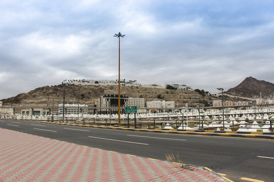 Jamrah Images – Browse 63 Stock Photos, Vectors, and Video | Adobe Stock