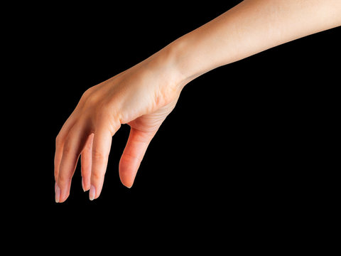 Hand Picking Something Up Images – Browse 1,923 Stock Photos, Vectors, and Video | Adobe Stock