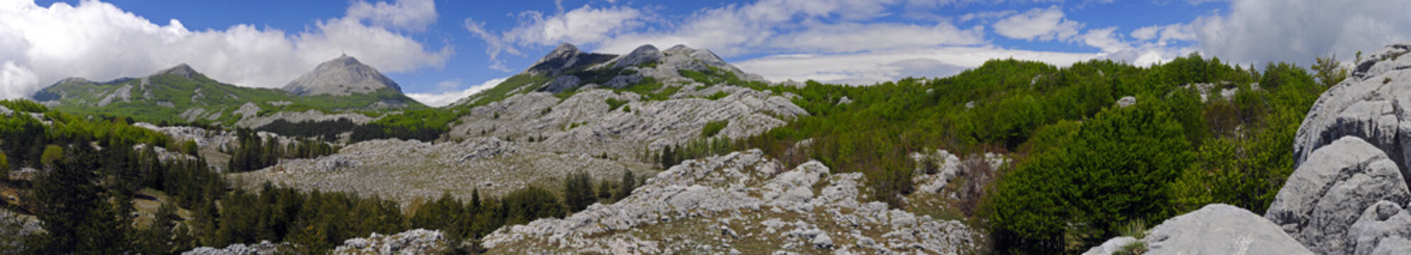 Stirovnik bilder – Bläddra bland 104 stockfoton, vektorer och videor ...