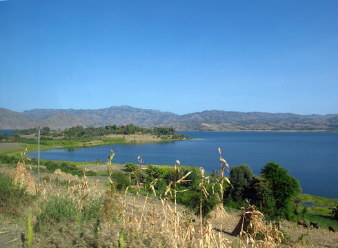 Kombolcha Images – Browse 64 Stock Photos, Vectors, and Video | Adobe Stock