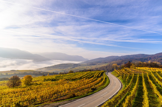 Seiberer Bilder – Durchsuchen 32 Archivfotos, Vektorgrafiken und Videos ...