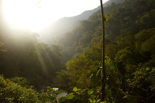 Perdida Images – Browse 1,700 Stock Photos, Vectors, and Video | Adobe ...