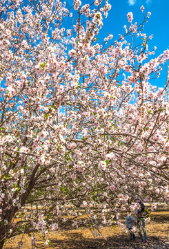 Ofay Images – Browse 55 Stock Photos, Vectors, and Video | Adobe Stock