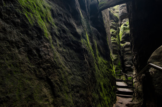 Pfaffe Bilder – Durchsuchen 2,692 Archivfotos, Vektorgrafiken und ...