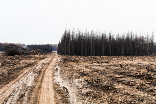 Treuenbrietzen Bilder – Durchsuchen 93 Archivfotos, Vektorgrafiken und ...