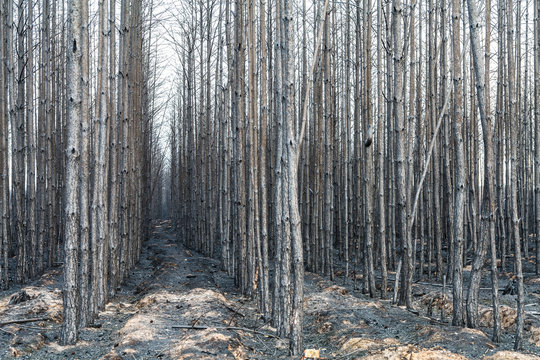 Treuenbrietzen Bilder – Durchsuchen 93 Archivfotos, Vektorgrafiken und ...