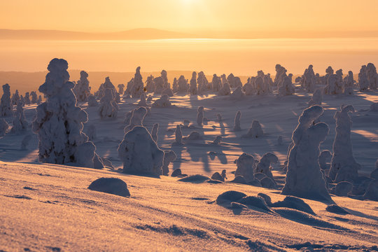 รูปภาพTykky – เลือกดูภาพถ่ายสต็อก เวกเตอร์ และวิดีโอ103 | Adobe Stock
