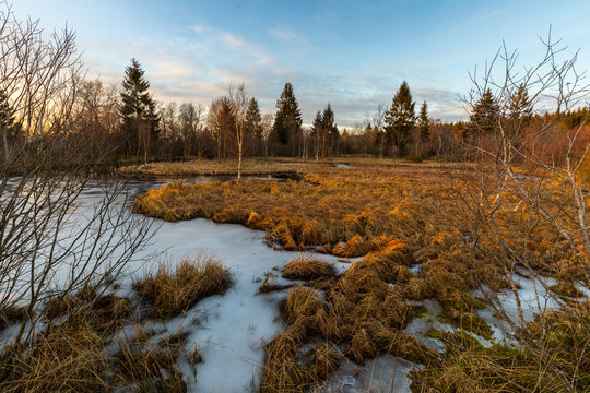 Hochmoor Images – Browse 58 Stock Photos, Vectors, and Video | Adobe Stock