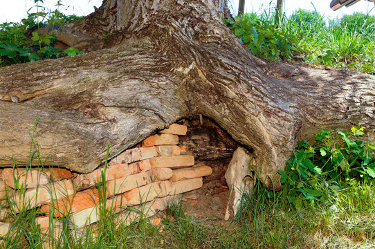 Humusschicht Bilder – Durchsuchen 61 Archivfotos, Vektorgrafiken und ...