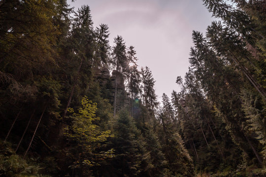 Jawohl bilder – Bläddra bland 93 stockfoton, vektorer och videor ...