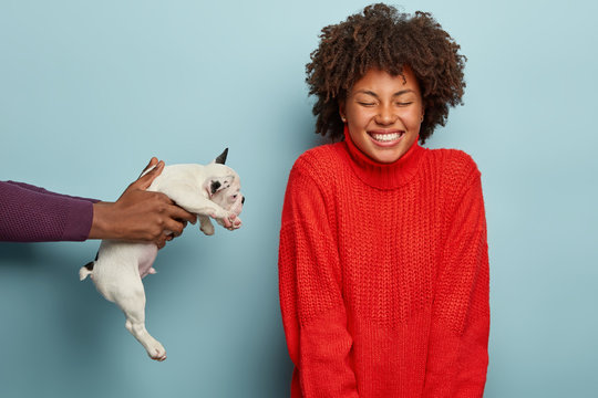 Presense Images – Browse 18 Stock Photos, Vectors, and Video | Adobe Stock