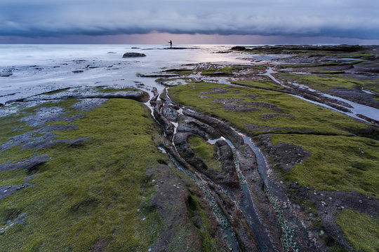 TraceyDee photos, images, assets | Adobe Stock