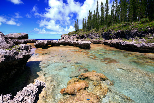 Kanaky - Images et vidéos libres de droits | Adobe Stock