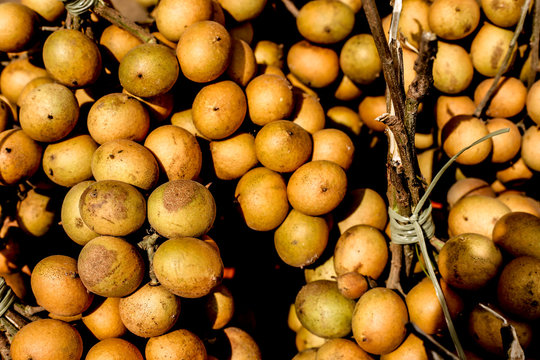 Pitomba Images – Browse 50 Stock Photos, Vectors, and Video | Adobe Stock