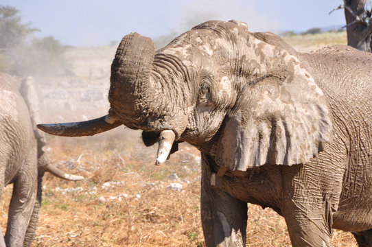 Azuren Bilder – Durchsuchen 394 Archivfotos, Vektorgrafiken und Videos ...