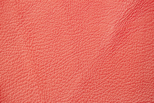 DIE 474 BESTEN BILDER, STOCK-FOTOS UND -VEKTORGRAFIKEN ZU „Nappaleder ...