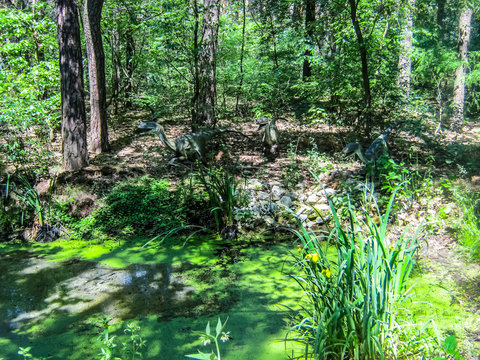 Graminivorous Images – Browse 483 Stock Photos, Vectors, and Video ...