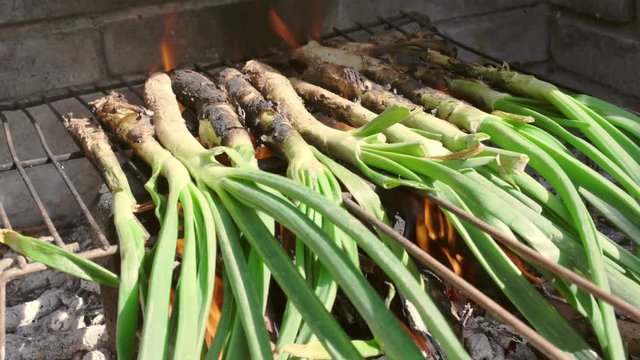 Calsotada Images – Browse 372 Stock Photos, Vectors, and Video | Adobe ...