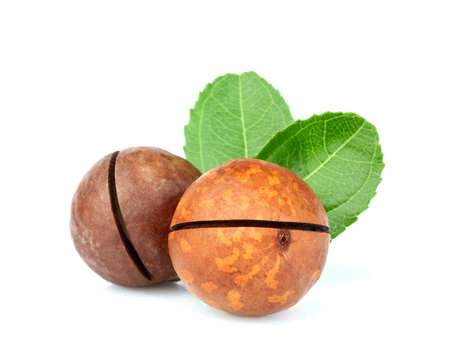 Cernel Images – Browse 43 Stock Photos, Vectors, and Video | Adobe Stock