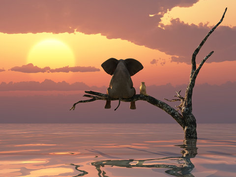 23,939 BESTE Fluchttier BILDER, STOCK-FOTOS & -VEKTORGRAFIKEN | Adobe Stock