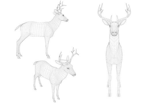 Deer Head Outline Side