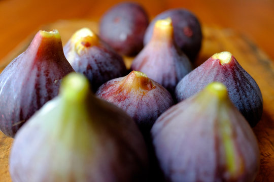 Figo Images – Browse 637 Stock Photos, Vectors, and Video | Adobe Stock