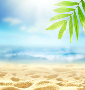 Free Summer Images – Browse 106,114 Free Stock Photos, Vectors, and ...