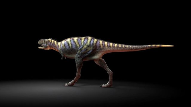 Aucasaurus Images – Browse 163 Stock Photos, Vectors, and Video | Adobe ...