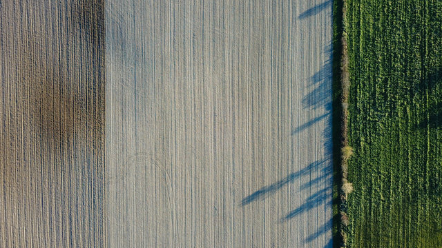 "Strip Cropping" Bilder – Durchsuchen 378 Archivfotos, Vektorgrafiken ...