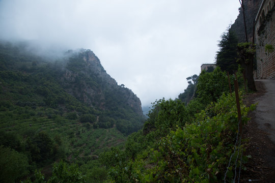 「Wede」の写真素材 | 47件の無料イラスト画像 | Adobe Stock