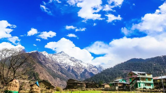 Tosh Images – Browse 646 Stock Photos, Vectors, and Video | Adobe Stock