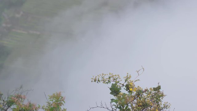 Huana Bilder – Durchsuchen 32 Archivfotos, Vektorgrafiken und Videos ...