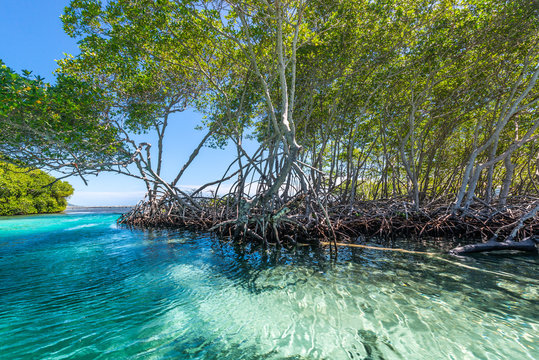 "Balu - Images et vidéos libres de droits | Adobe Stock