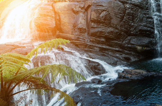 Waterfal Images – Browse 1,444,715 Stock Photos, Vectors, and Video ...