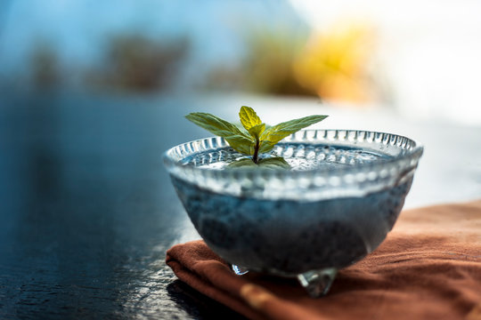 Tukmalanga Images – Browse 35 Stock Photos, Vectors, and Video | Adobe ...