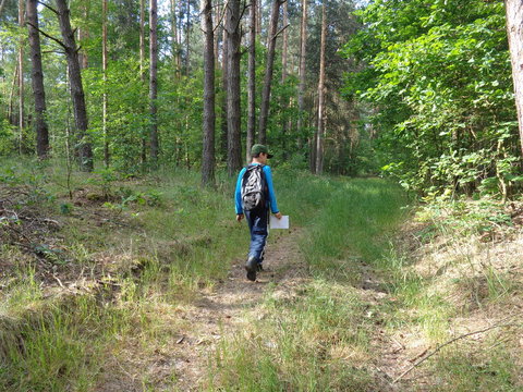 Harcerz-Bilder: Stock-Fotos & -Videos. | Adobe Stock