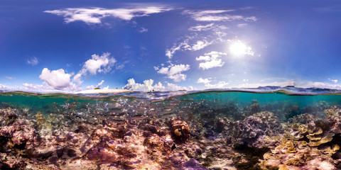 The Ocean Agency photos, images, assets | Adobe Stock