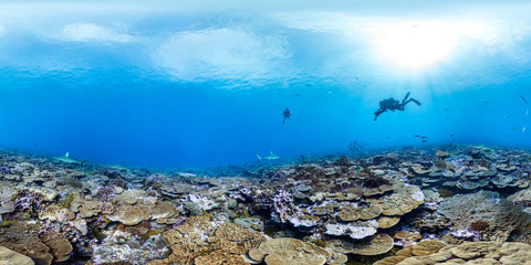 The Ocean Agency photos, images, assets | Adobe Stock