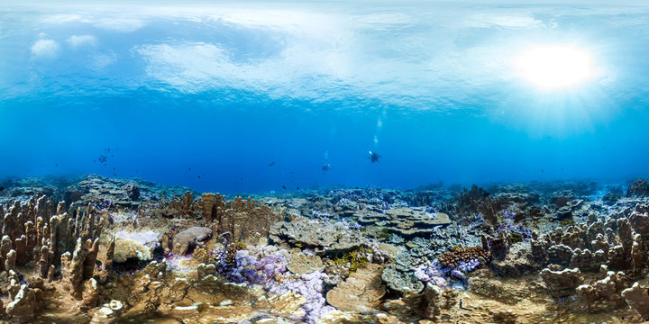 Reefscape Images – Browse 2,287 Stock Photos, Vectors, and Video ...