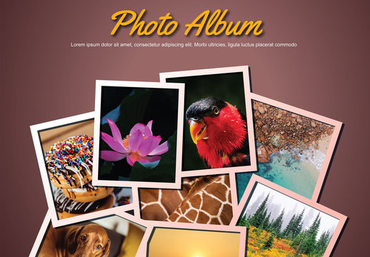 Overlapping Photo Collage