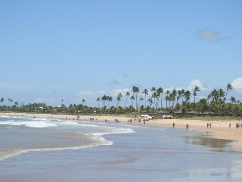 Itacimirim Images – Browse 50 Stock Photos, Vectors, and Video | Adobe ...