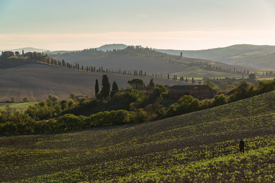 Tuskani bilder – Bläddra bland 603 stockfoton, vektorer och videor ...