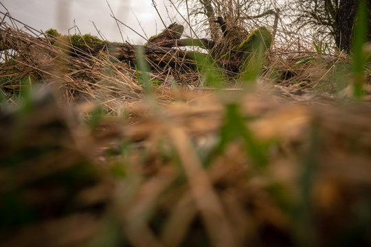 รูปภาพHocken – เลือกดูภาพถ่ายสต็อก เวกเตอร์ และวิดีโอ1,946 | Adobe Stock