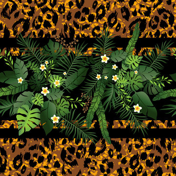 3,028 BEST Leopard Print Border IMAGES, STOCK PHOTOS & VECTORS | Adobe ...