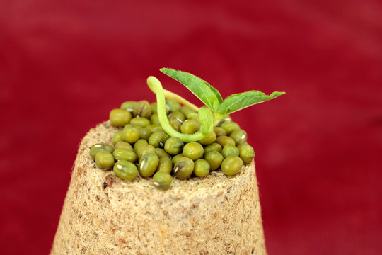 รูปภาพKeimend – เลือกดูภาพถ่ายสต็อก เวกเตอร์ และวิดีโอ117 | Adobe Stock